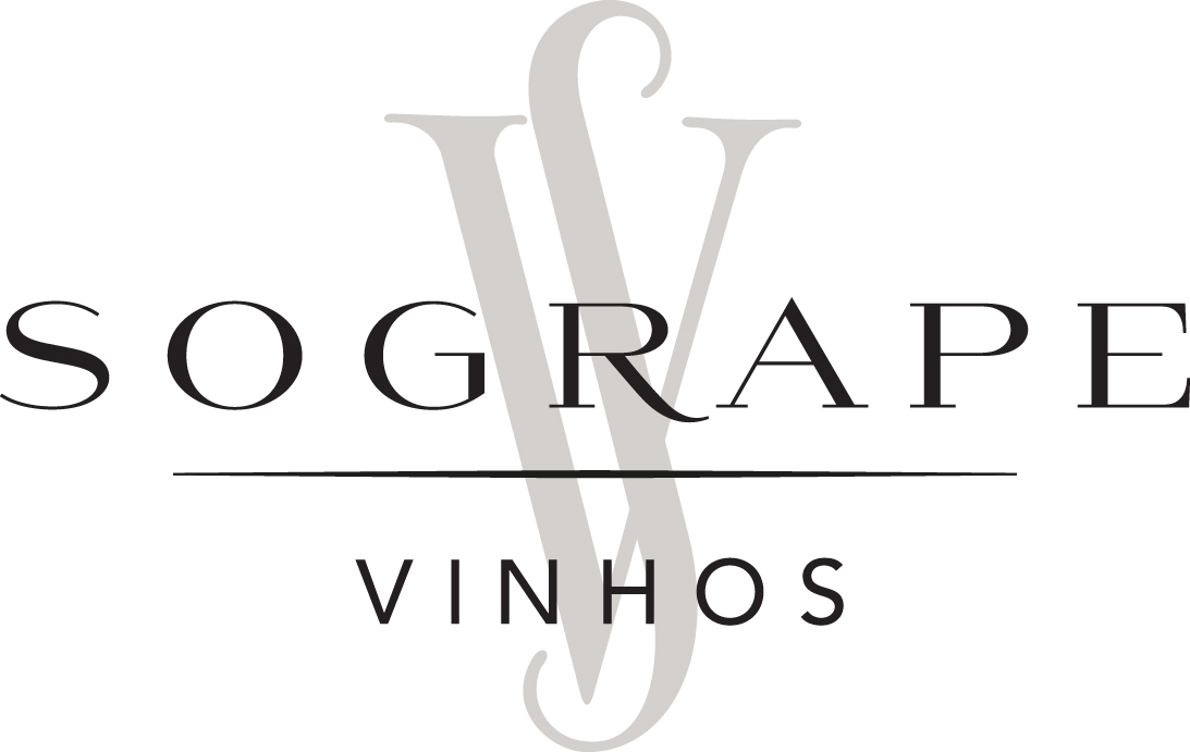 Sogrape Vinhos é a quarta melhor produtora mundial | VerPortugal