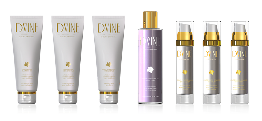 DVINE aposta em campanha de crowdfunding para potenciar crescimento ...