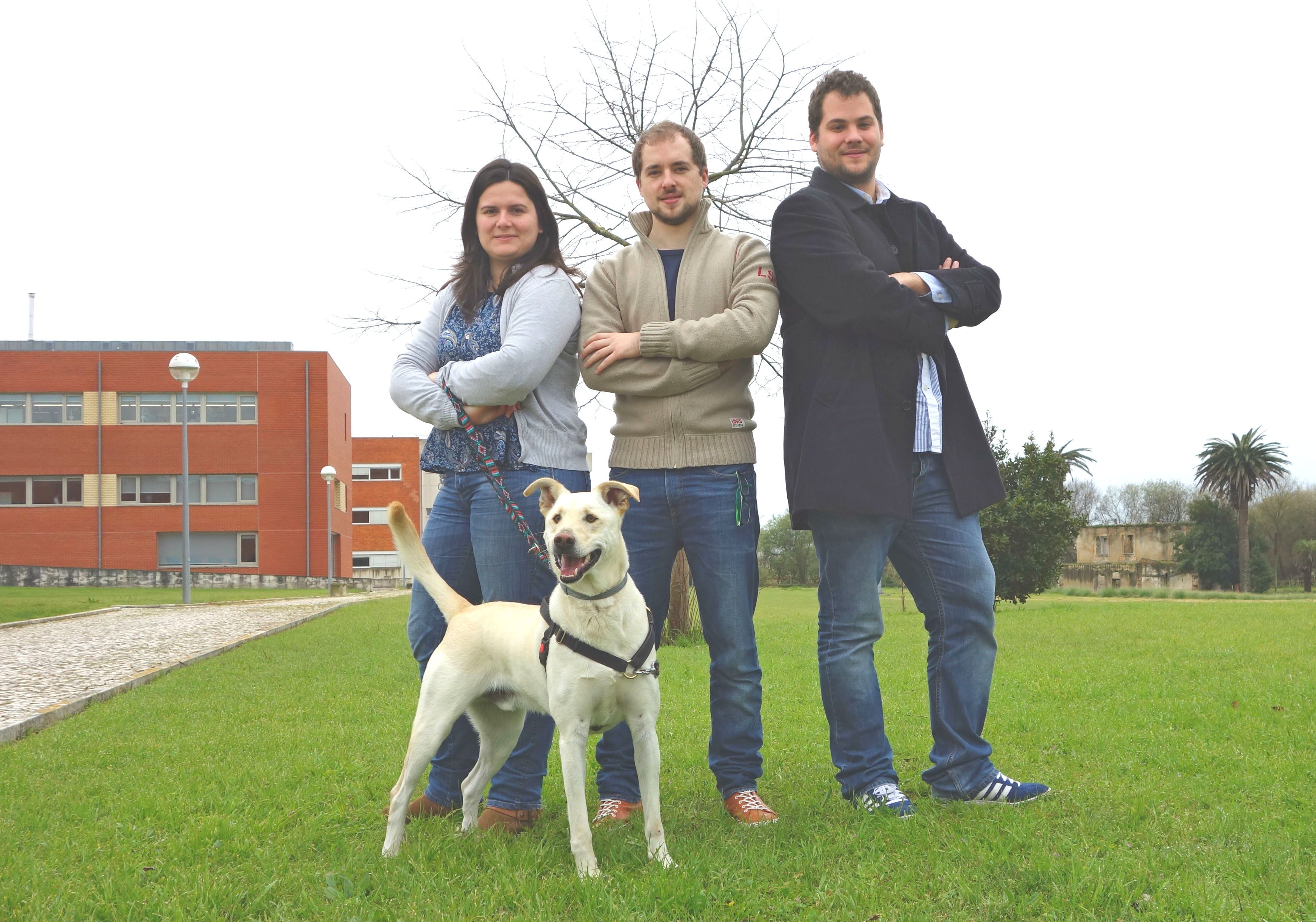 "Portal do Utente" para animais criado por antigos alunos da ...