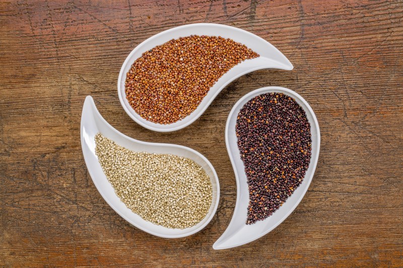 QTP – Quinoa Portuguesa: super-alimento já é cultivado em Portugal ...