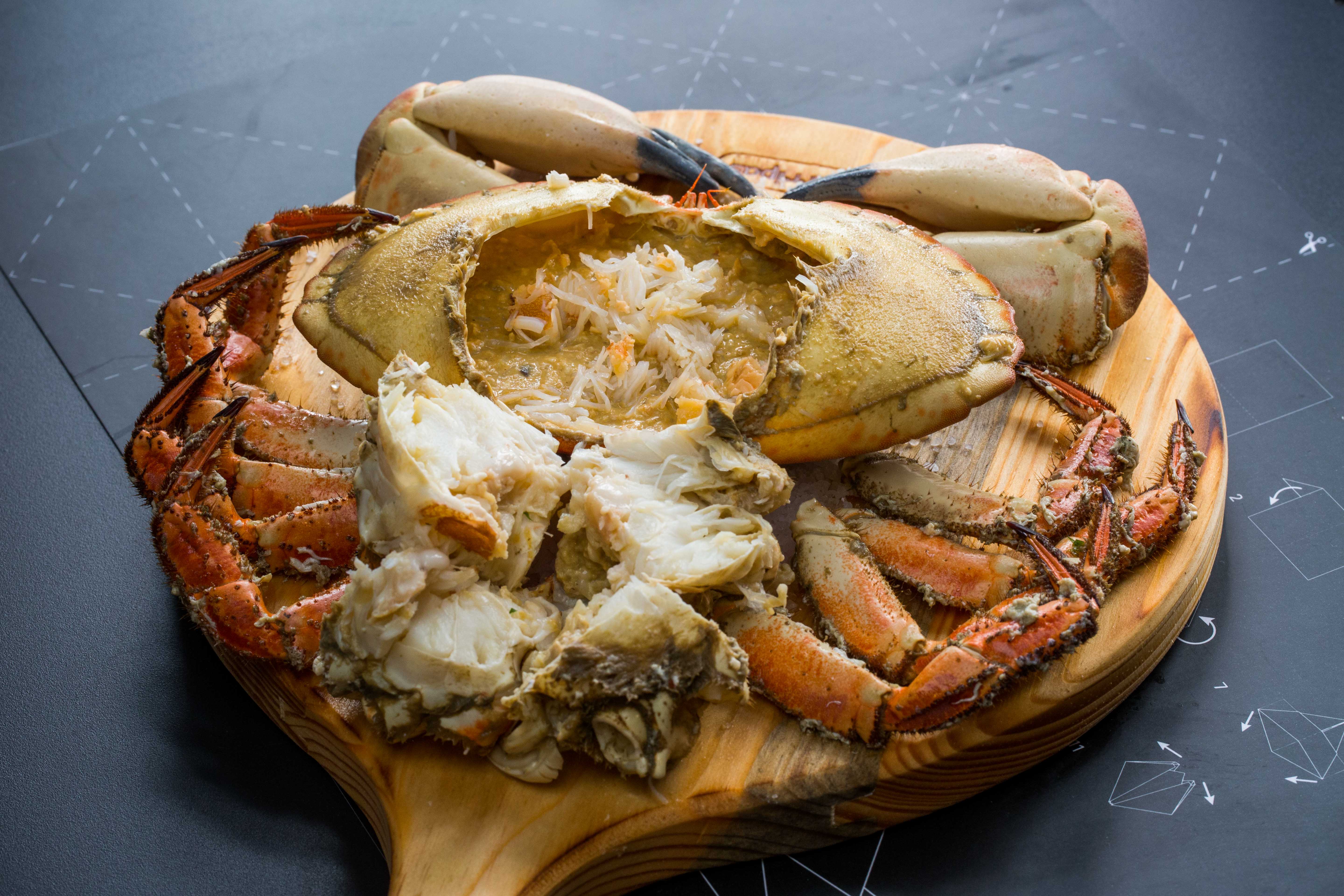 Pesqueiro 25 oferece marisco com sabor a mar | VerPortugal